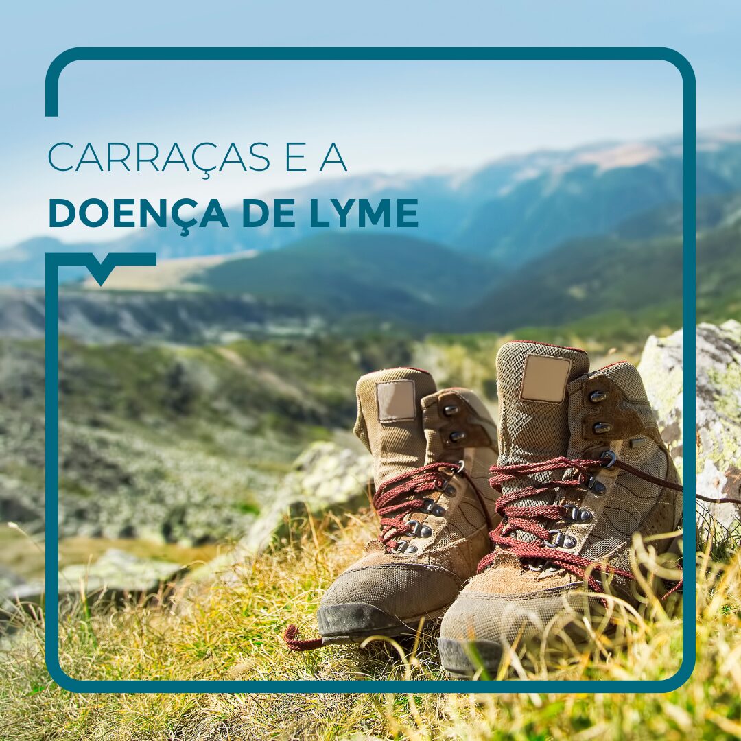 DOENÇA DE LYME - Alegria Medical Centre
