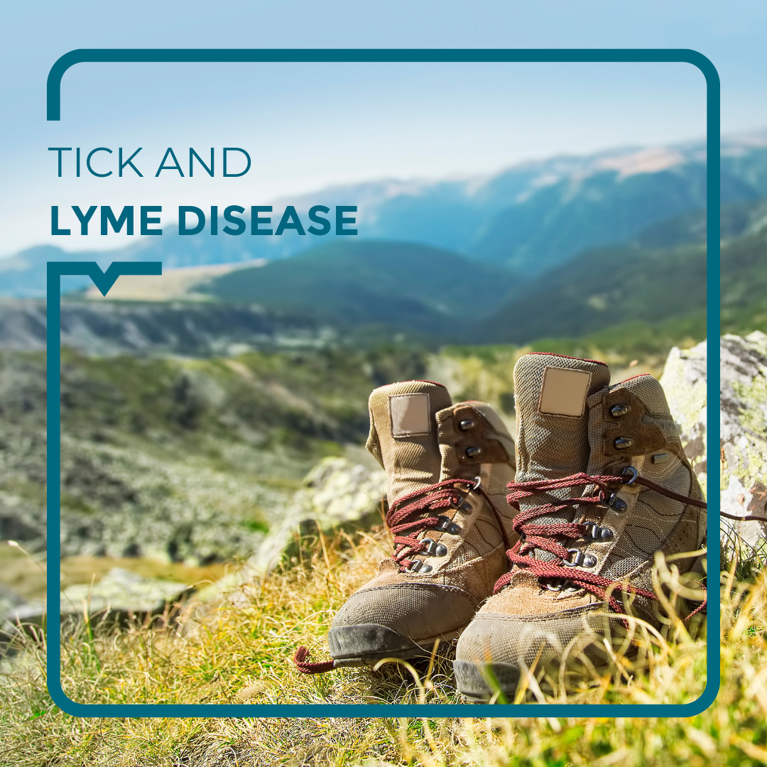 Lyme disease - Alegria Medical Centre